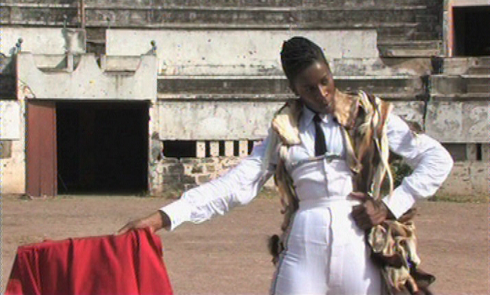 Nandipha Mntambo - Regarding Africa: Contemporary Art and Afro-Futurism ...